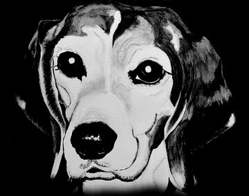 Daisy's Ice Cream – Daisy's Ice Cream